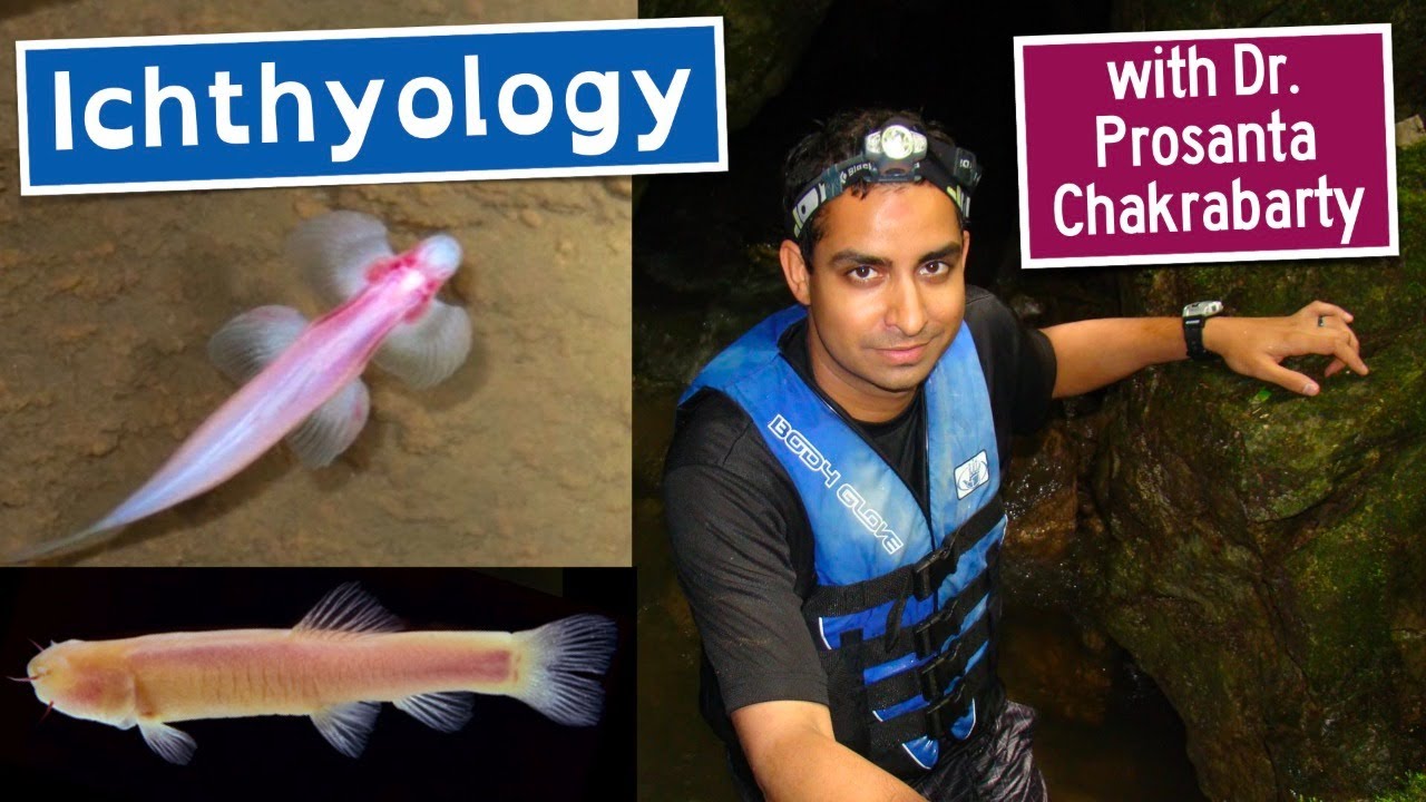 Fishy Science with Dr. Chakrabarty - YouTube