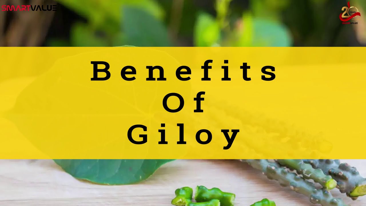 Why Giloy Is Important | Benefits Of Giloy | Smart Value Limited - YouTube