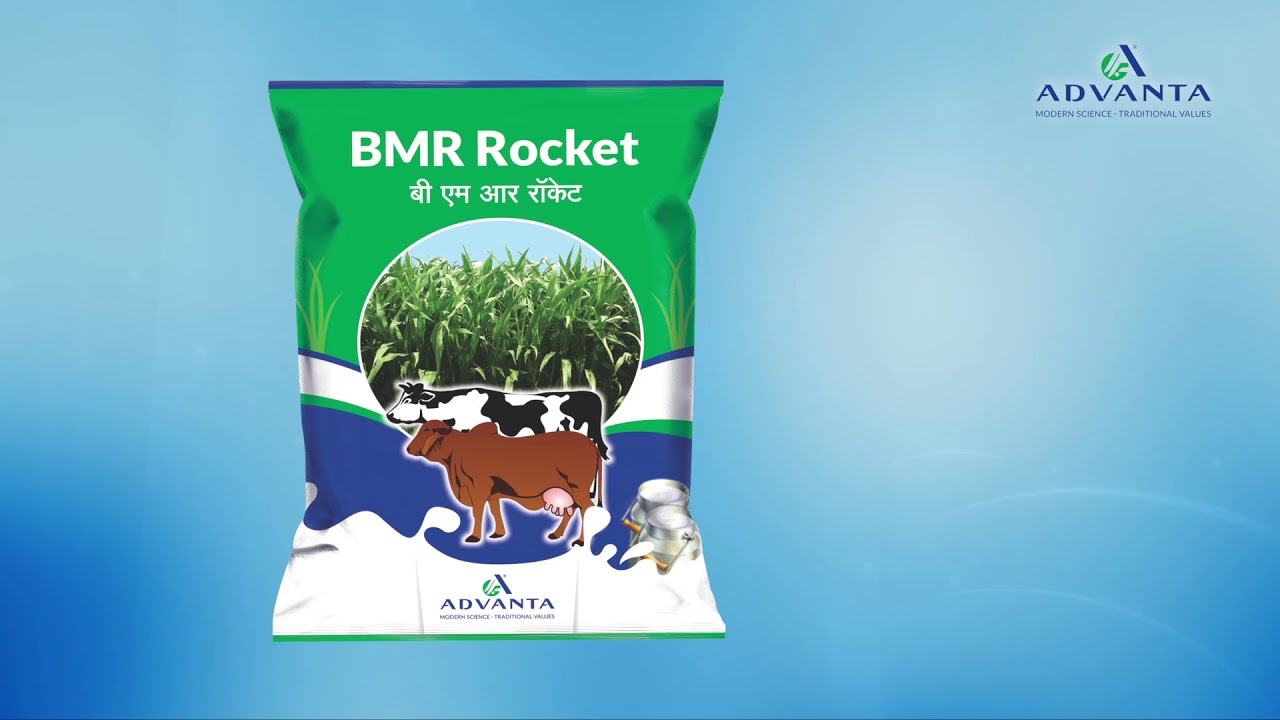 BMR Rocket from Hethram Jhakhad. Rajasthan, India - YouTube