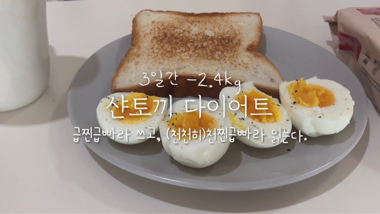 [Diet vlog] 샨토끼 다이어트 3일 도저언-!🙌🏼 (shantokki diet for 3days) 급찐급빠 - YouTube
