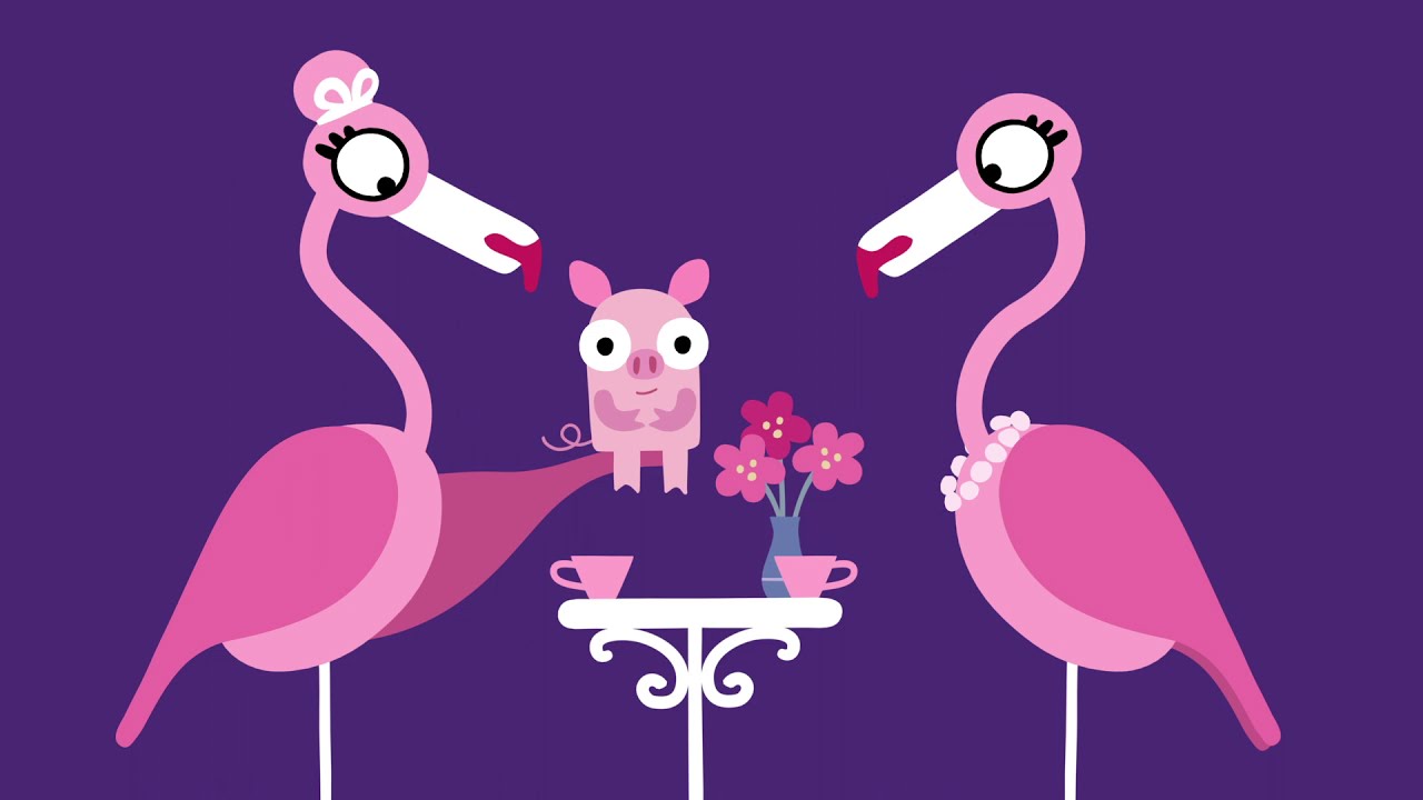 Animanimals: Flamingo - YouTube