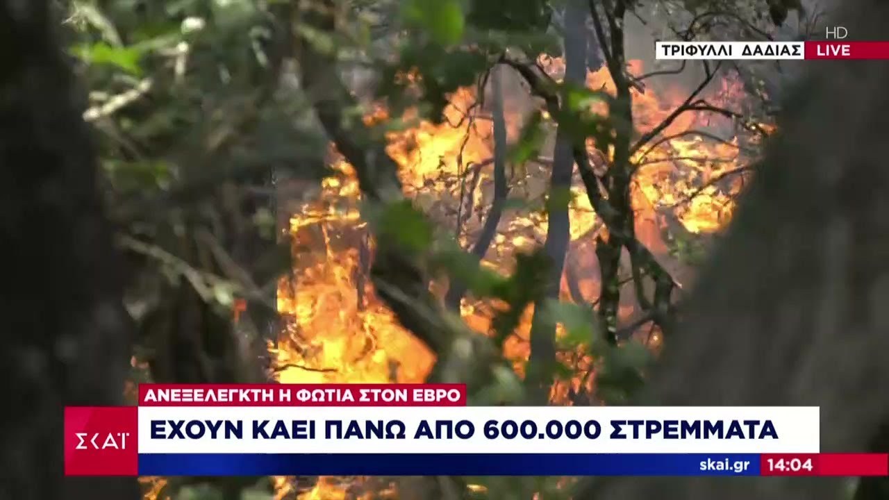 Δεν σταματάει να καίει το μέτωπο στο δάσος της Δαδιάς του Έβρου – Όλα ...