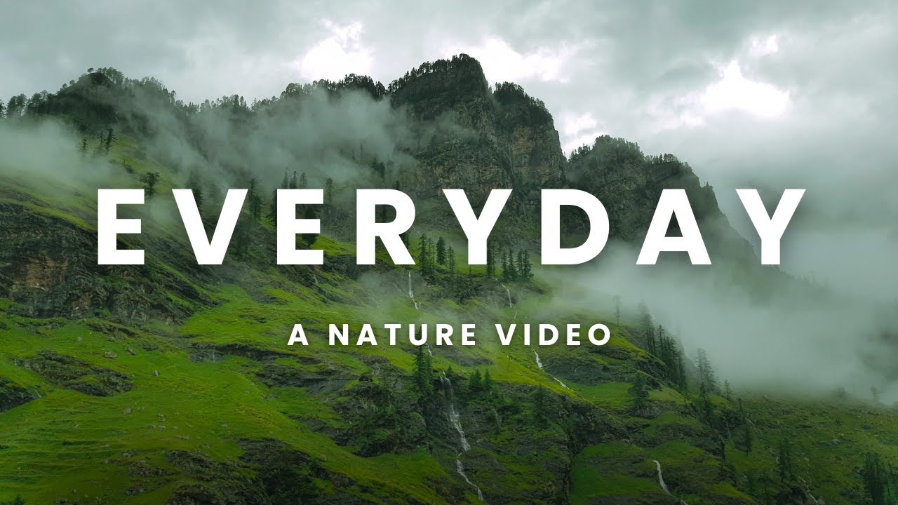 EVERYDAY | A NATURE VIDEO - EVERYDAY-NATURE || VIDEO CREATE-BY @mr ...