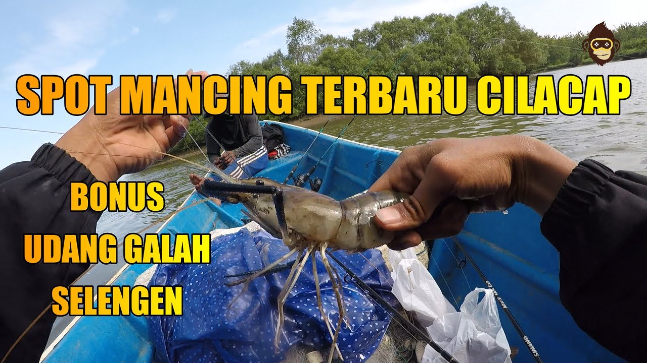 SPOT MANCING SEGARA ANAKAN CILACAP BIKIN PENASARAN - YouTube