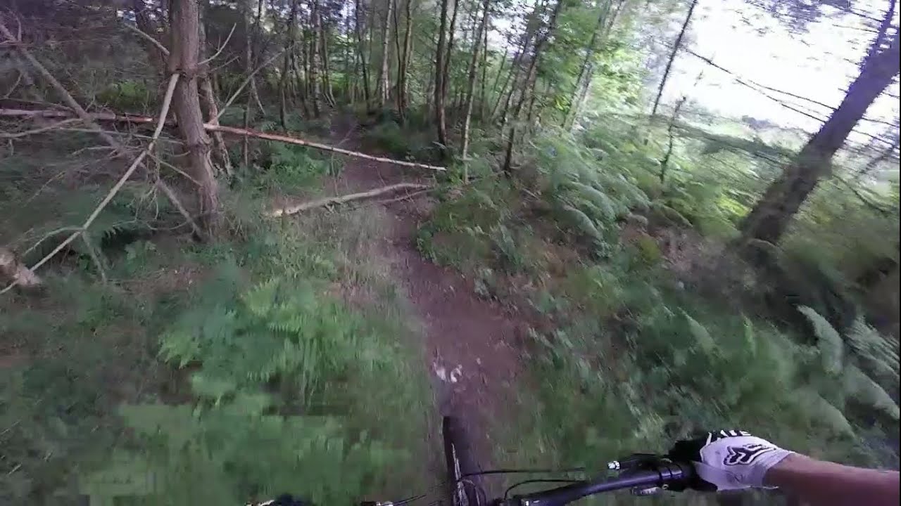 TRAPPED TRACKS AT CHOPWELL WOODS AND OVERGROWN TRAILS!! - YouTube