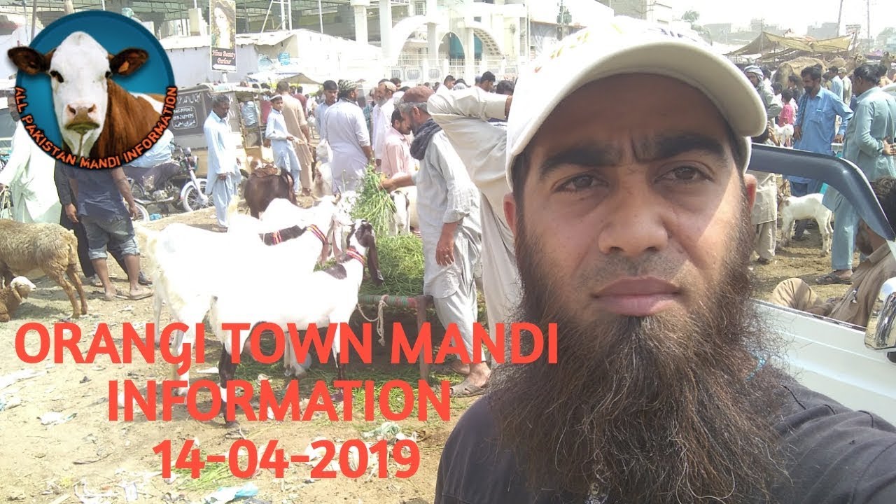 Orangi Town Goats Mandi Information/14-04-2019 - YouTube