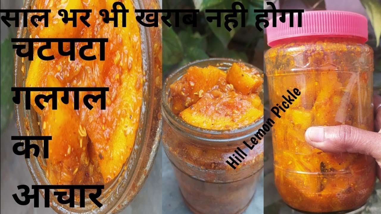 चटपटा गलगल का अचार । Galgal ka Achar/Hill lemon Pickle recipe/khatta ...