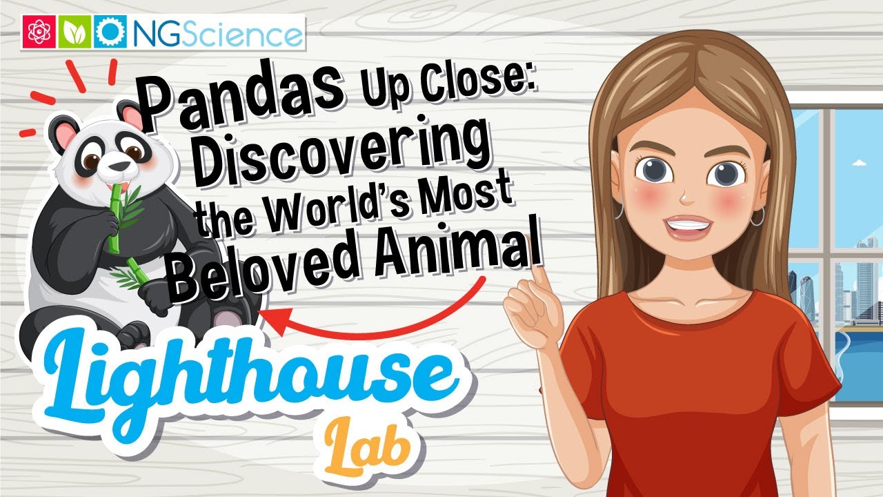 Lighthouse Lab – Pandas Up Close: Discovering the World's Most Beloved ...