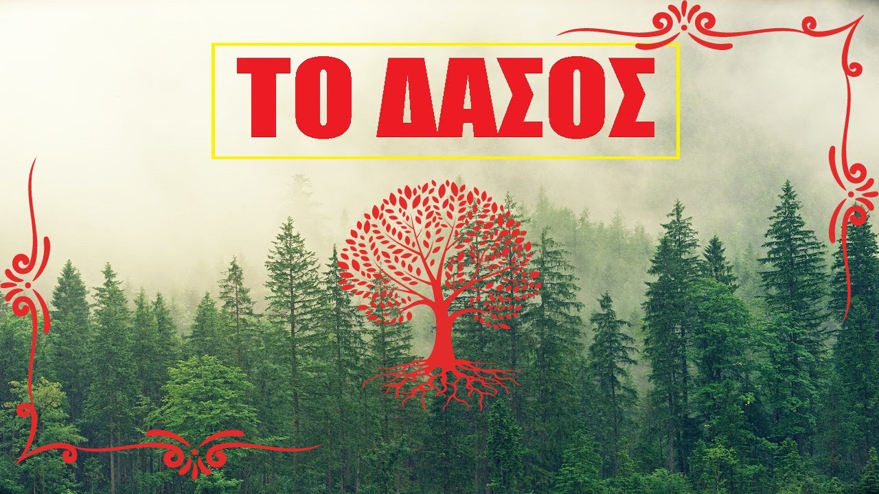 ΤΟ ΔΑΣΟΣ.[τρομακτικές ιστορίες-greek creepy stories] - YouTube