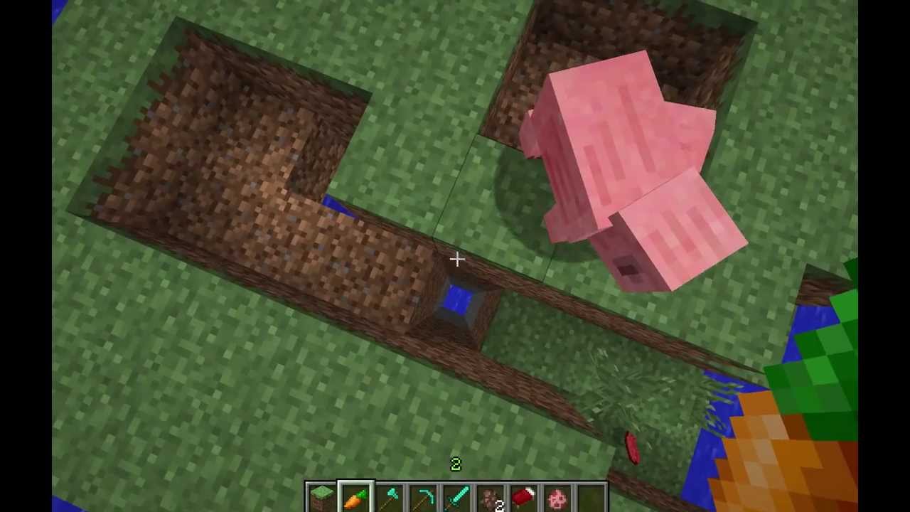 MINECRAFT- How to make a pig give birth fast - YouTube