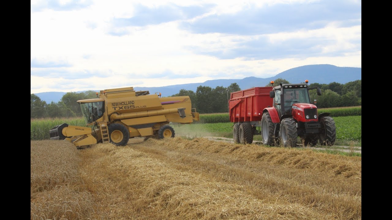 Moisson blé 2017 - YouTube