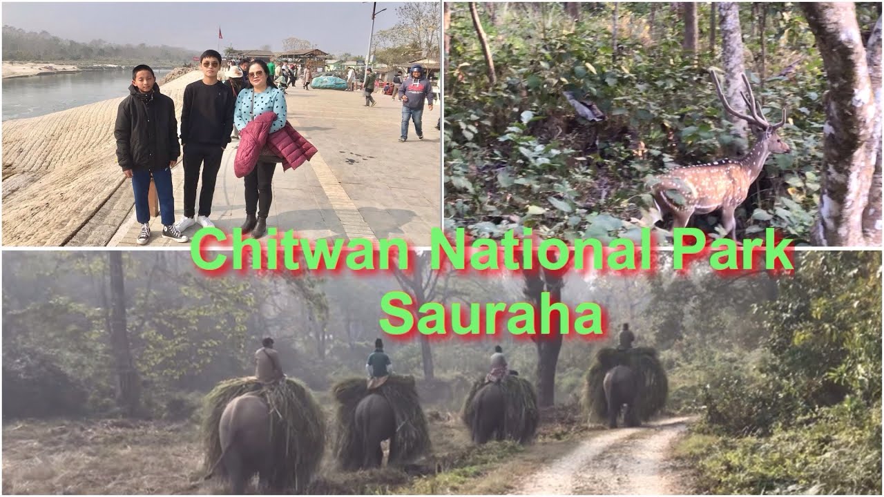 Chitwan National Park, Sauraha, Nepal - YouTube