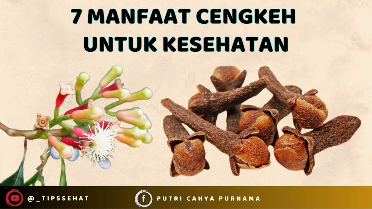 7 Manfaat Cengkeh untuk Kesehatan - YouTube