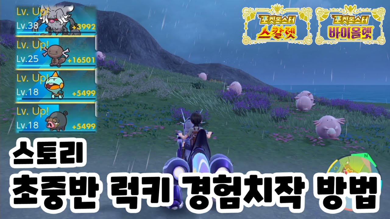초중반 럭키 경험치작 방법 / 포켓몬스터 스칼렛 바이올렛 - YouTube