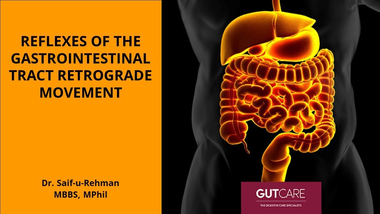 Reflexes of the Gastrointestinal Tract Retrograde Movement - YouTube