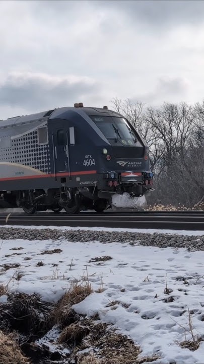 Amtrak Blue Water #365 heading towards Chicago. #train #amtrak #amtraktrains - YouTube