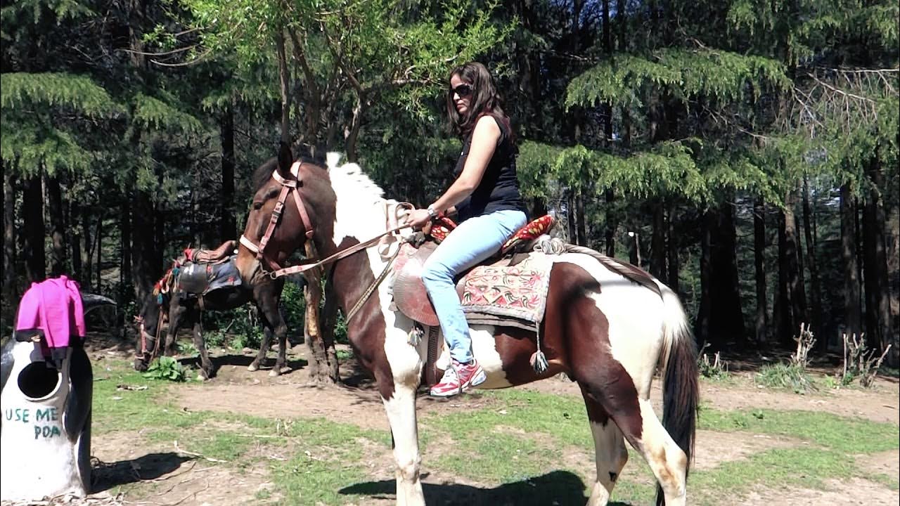 Patnitop Horse Riding - YouTube