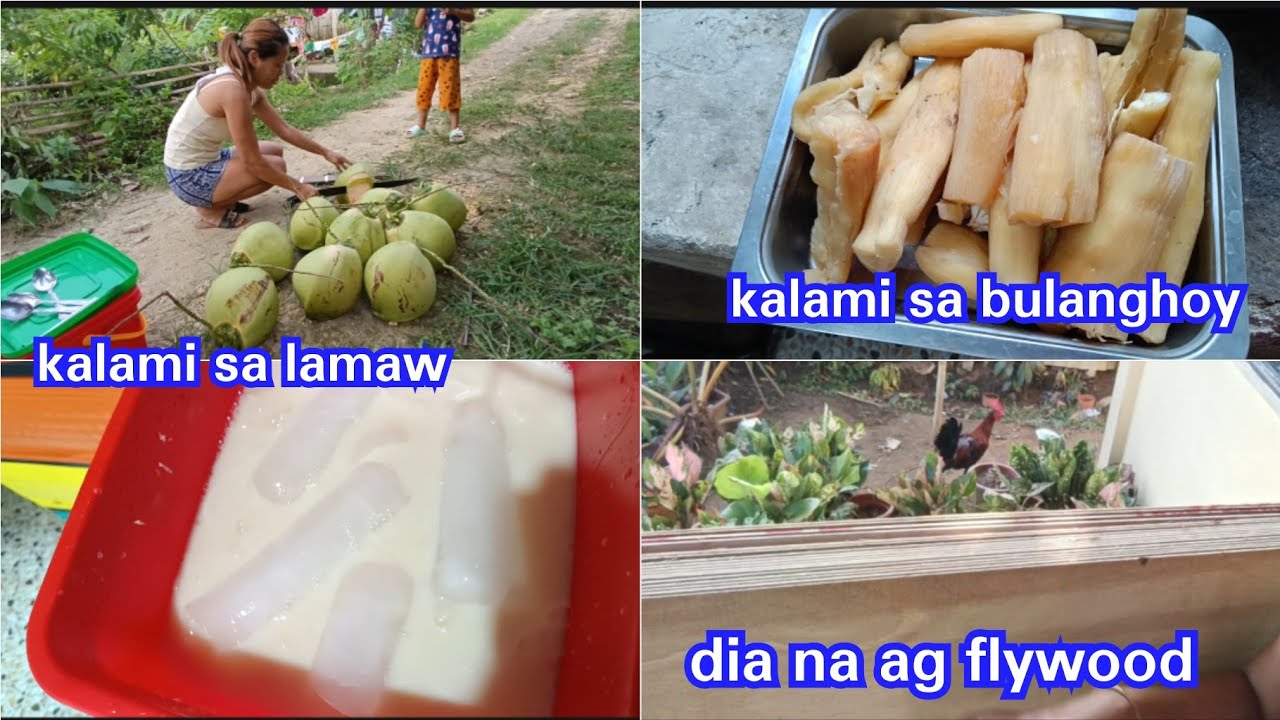 Gihatod na ag flywood para alkuba sa front ug bathroom, Salamat kaajo ...