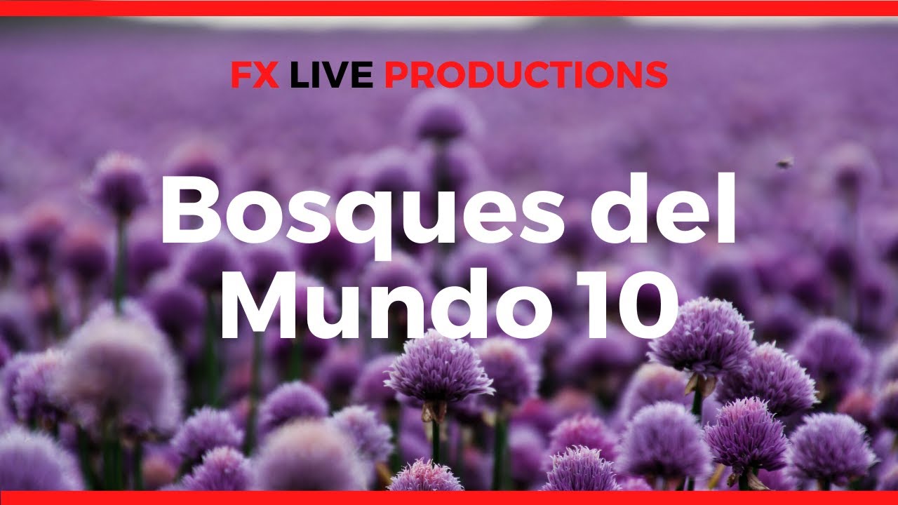 Bosques 10 4K HD 2020 Arboles Paisajes Cascadas Montañas mas Bellos de ...