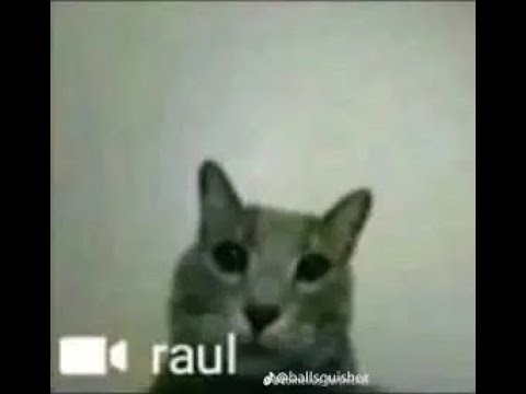 [HORRIFIC] Tower of Quite Devious // Grinding - YouTube