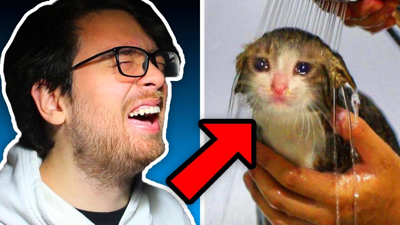 I Found The FUNNIEST Memes On Reddit - YouTube