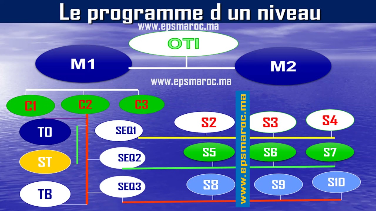 Organisation de l’enseignement de L’ EPS - YouTube