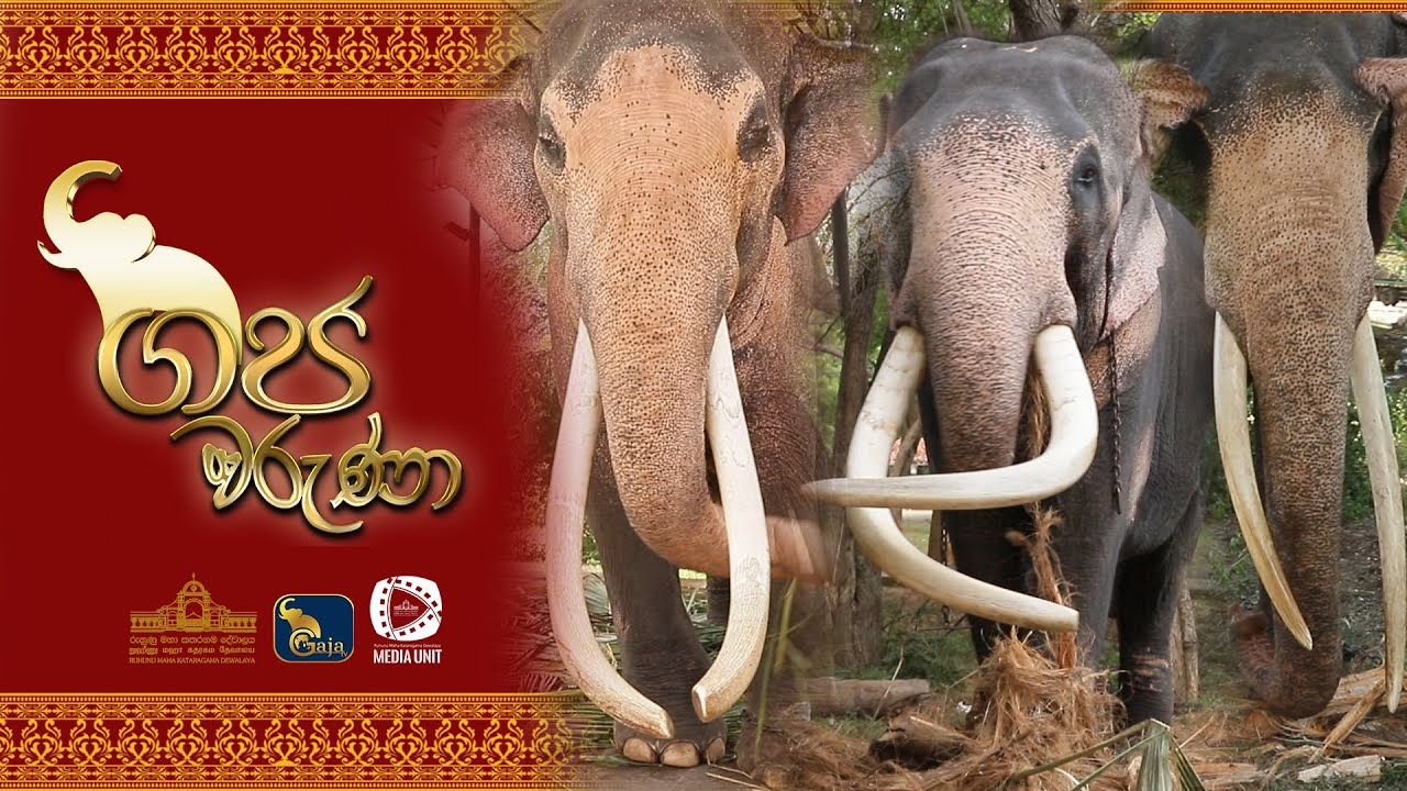 🔴 කඳ සුරිදු බිමේ ගජ වරුණා - TALK WITH GAJA (2023/06/28) - YouTube