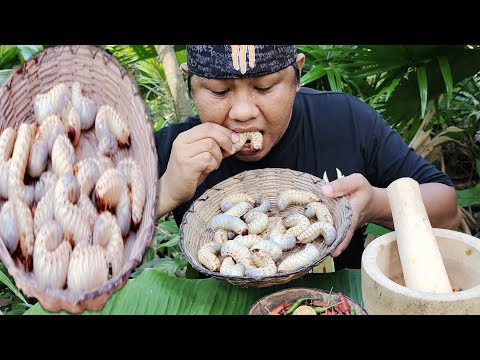EATING COCONUT WORM WITH SPICY CHILI | EXOTIC FOOD | BOY TIBAY KUMAIN ...