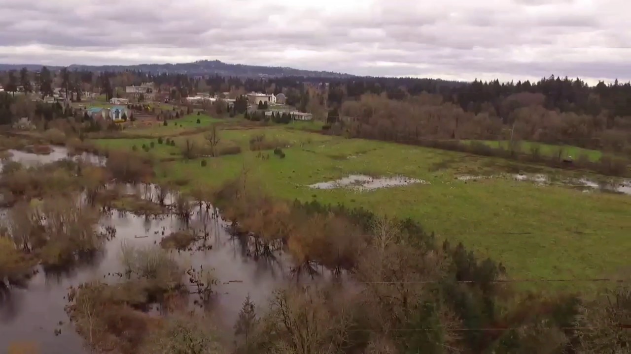 Cook Park Tigard Oregon - YouTube