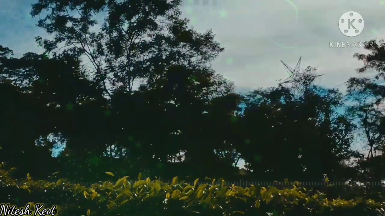 Tipam//most beautiful place in our Assam// - YouTube