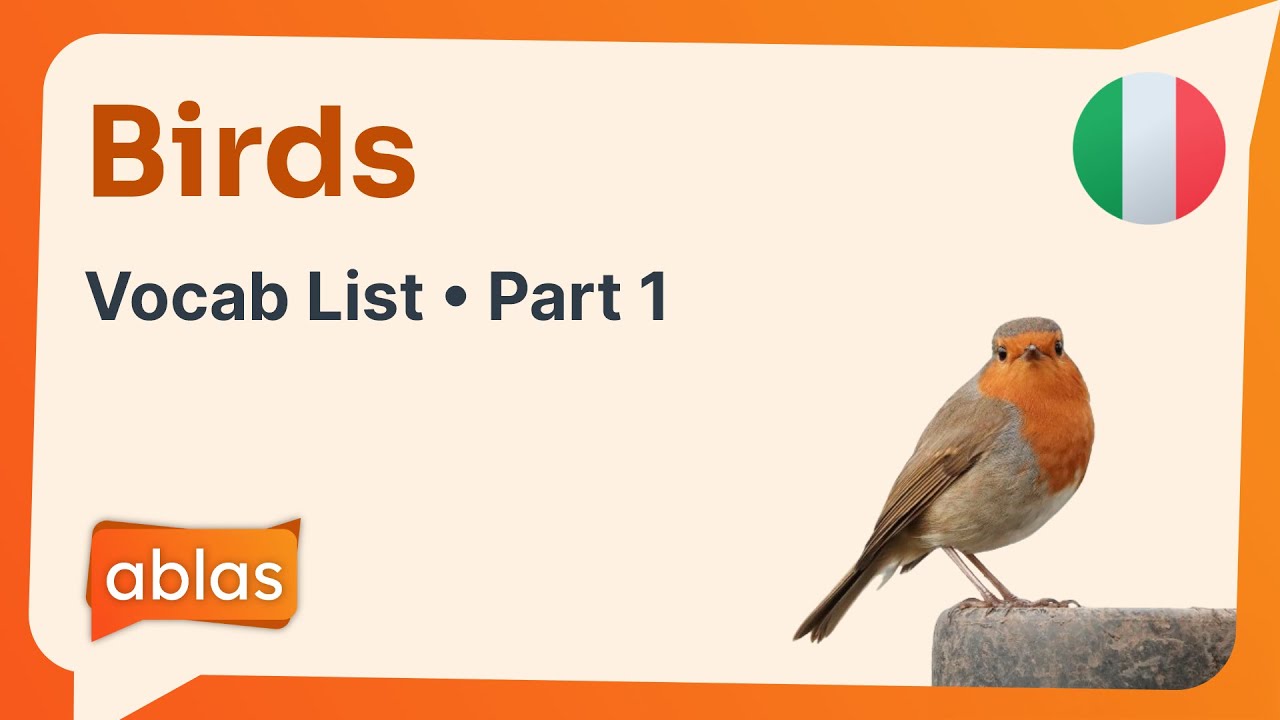 Birds | Italian Vocabulary List (Part 1) - YouTube