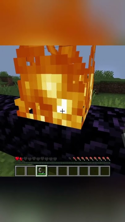 Shocking Nether Portal Fail In Minecraft Do Not Try At Home Minecraft Minecraftshorts Funny