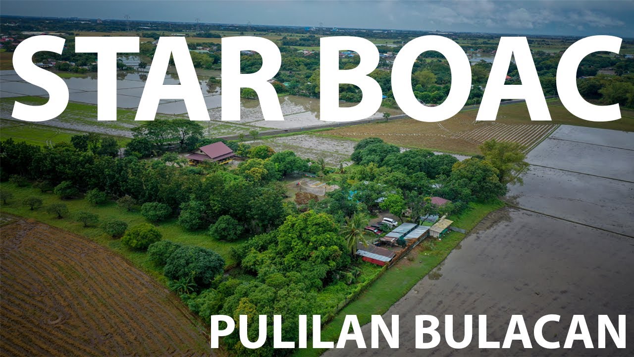 Star Boac Farm 2020 - YouTube