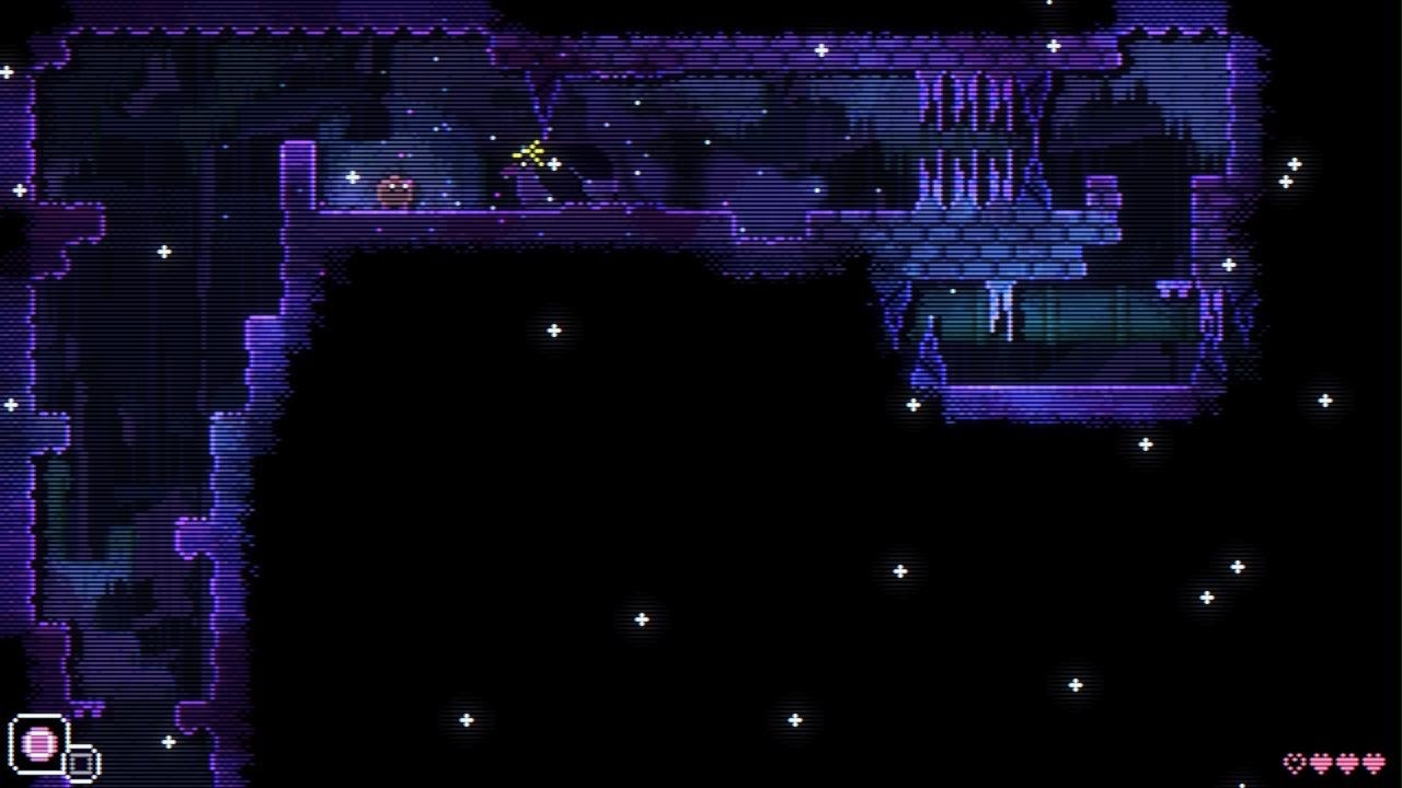 ANIMAL WELL - Penguin - YouTube
