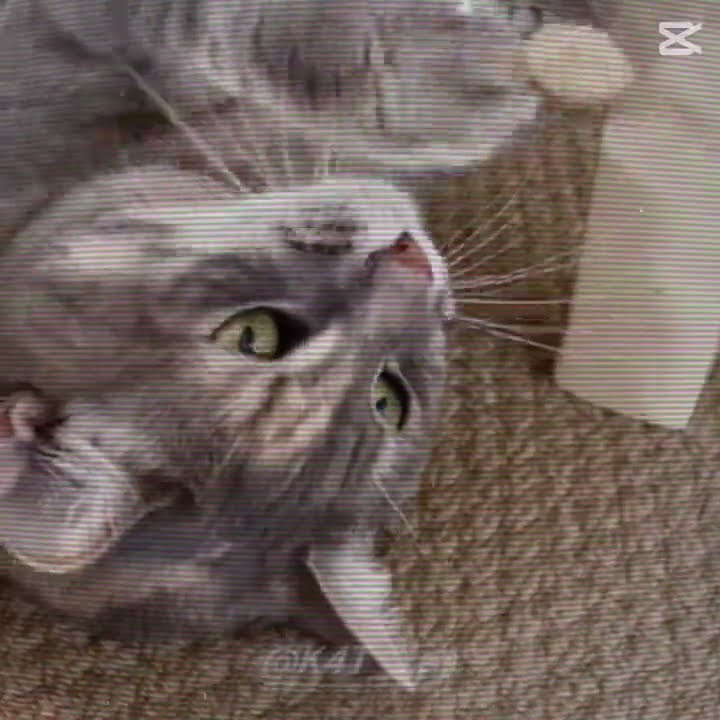 This template fits so well - YouTube