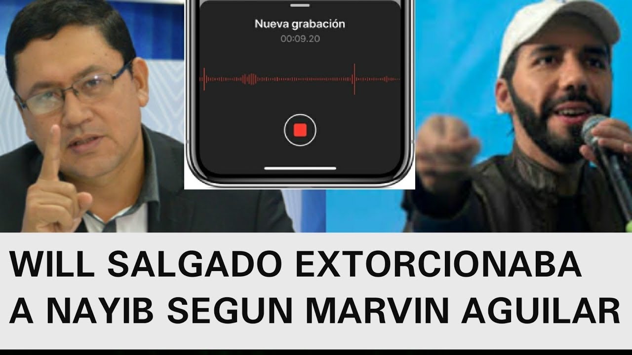 Will salgado extorciona a nayib para ingresar a nuevas ideas para ...