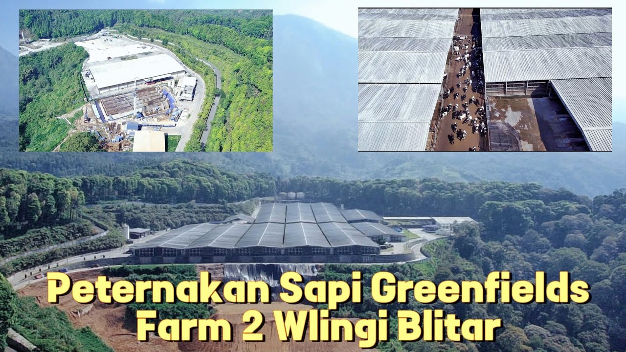 GREENFIELDS FARM 2 WLINGI BLITAR VIEW DRONE | LERENG GUNUNG KAWI - YouTube