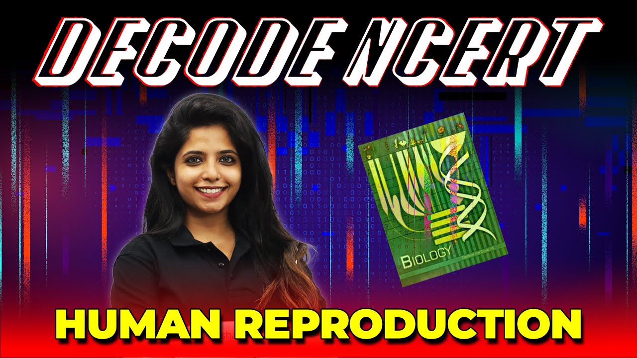 Episode 21 Decode NCERT Biology | Human reproduction #puboard #kcet2025 ...