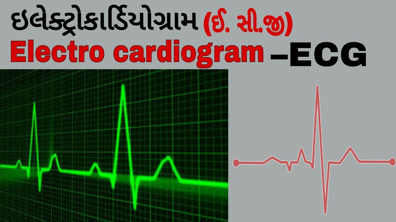 Gk Electro cardiogram –ECG. ઇલેક્ટ્રોકાર્ડિયોગ્રામ..by RB EDUCATION - YouTube