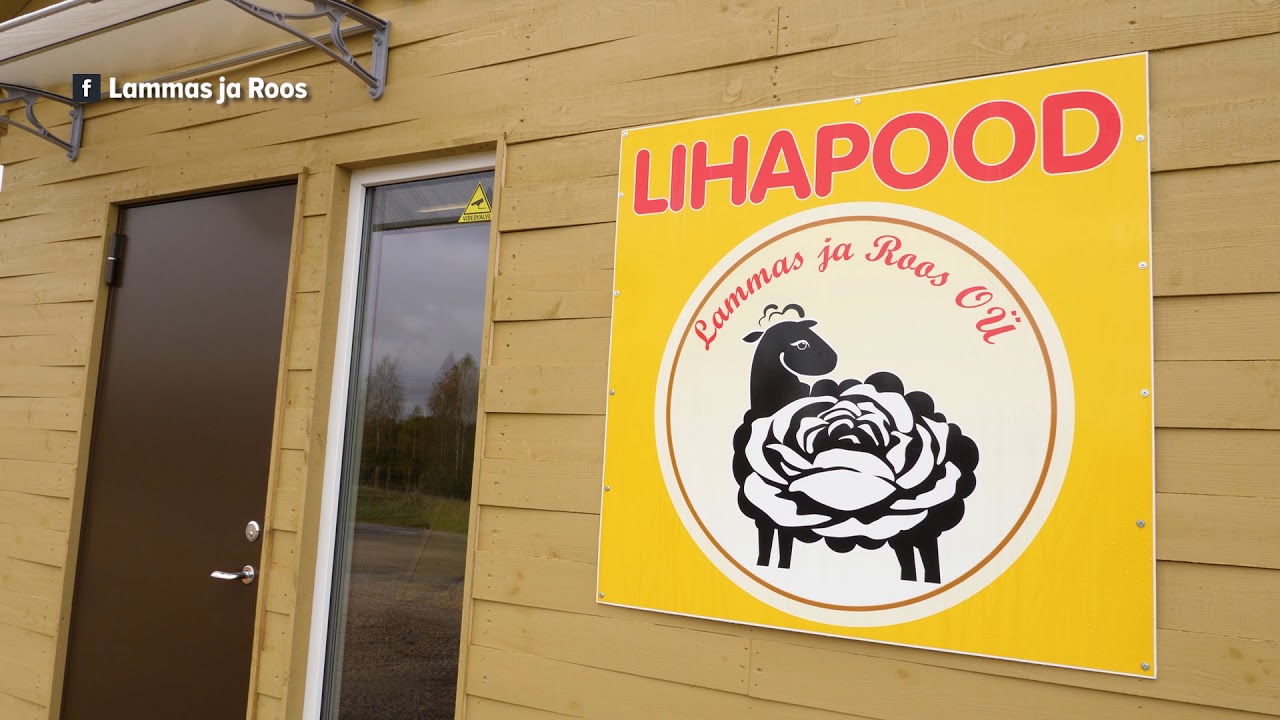 Lammas ja Roos @Sööma! TV (18.10.2020) - YouTube