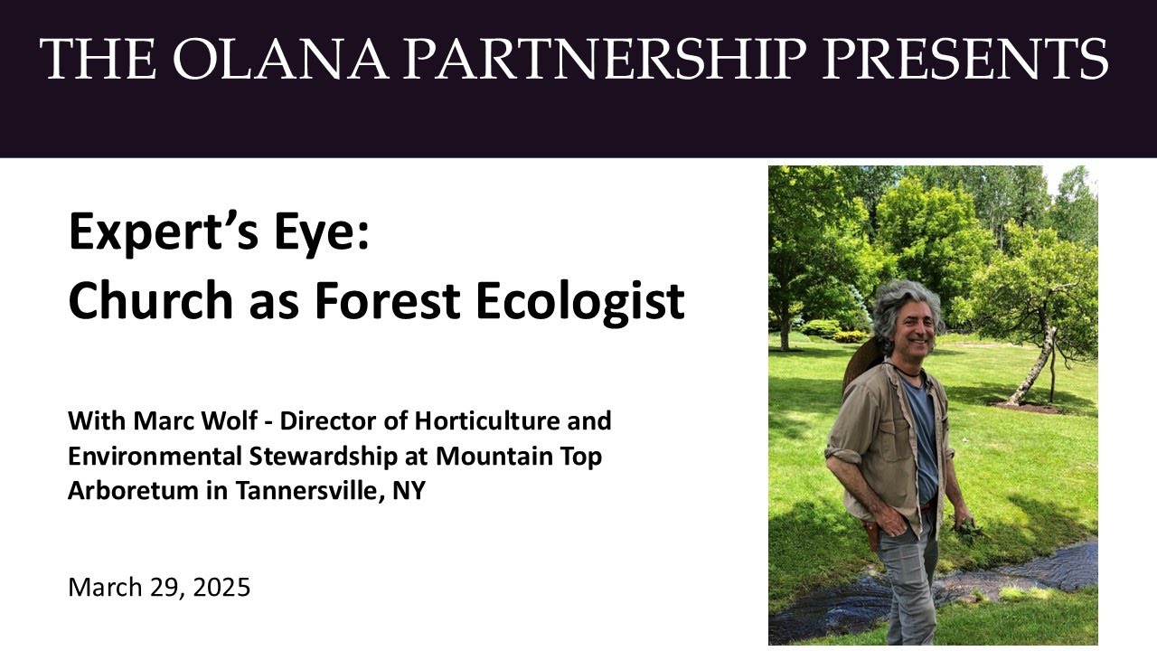 Expert’s Eye: Church as Forest Ecologist with Marc Wolf - YouTube