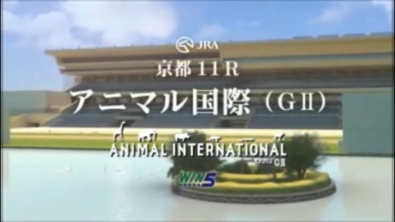 JAPAN WORLD CUP 3 〜第4レース〜 - YouTube