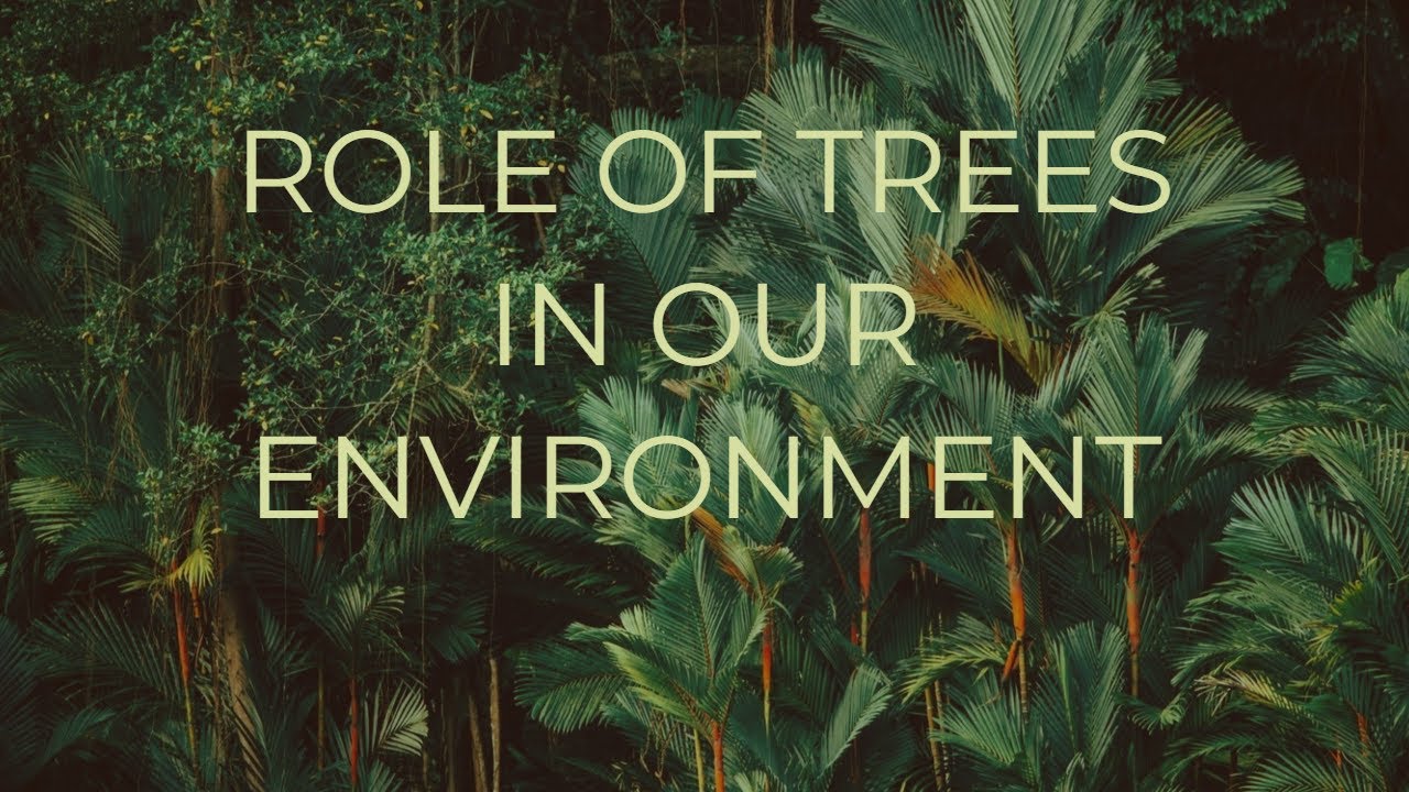 Role of trees in our environment || KVS MDP || TREES || ROLE ...