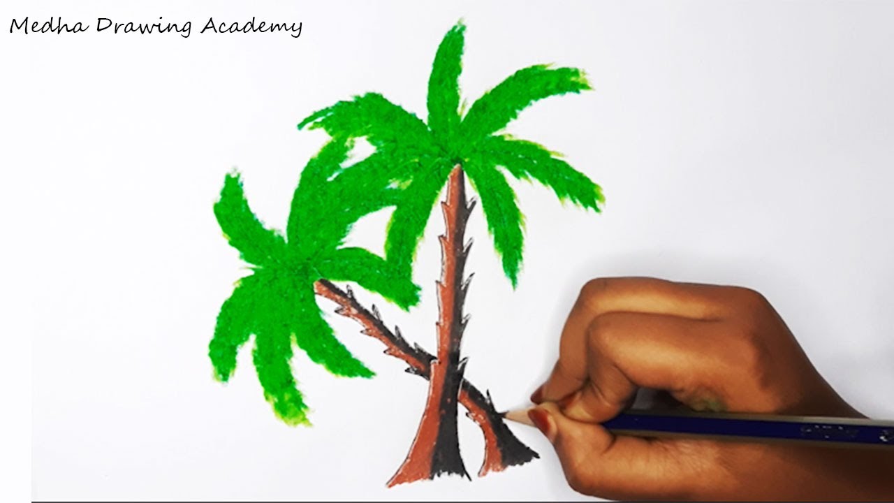 How to easily draw a date palm tree step by step || Art video by Medha ...