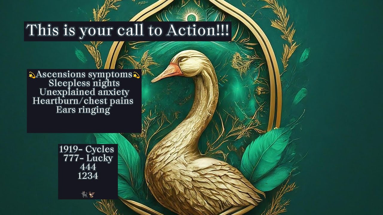 "This is your call to action " - YouTube