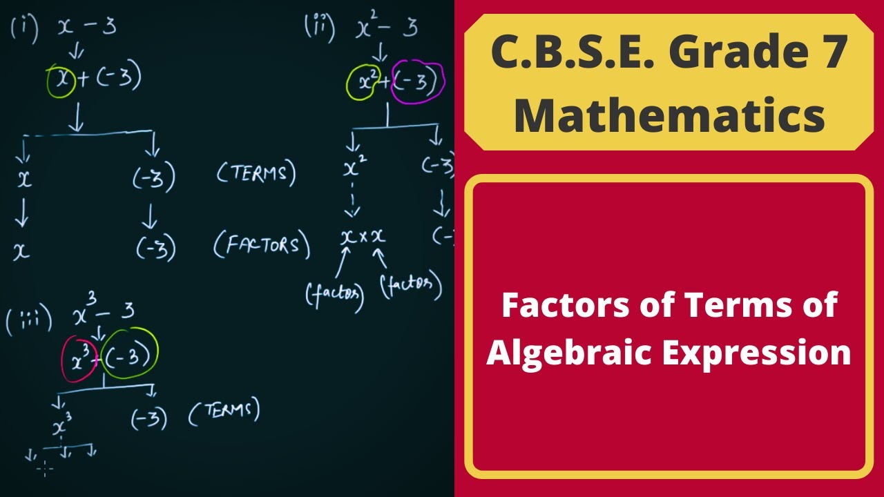Factors of Terms of Algebraic Expression || Algebra || C.B.S.E. Grade 7 ...
