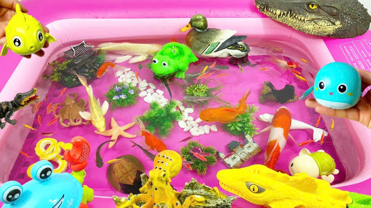 Amazing Put fish in the float,sharks,dolphins,sea creatures,Slipp vakre ...