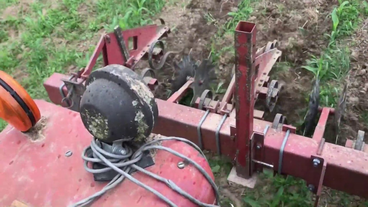 cultivating corn on an organic Wisconsin dairy farm - YouTube
