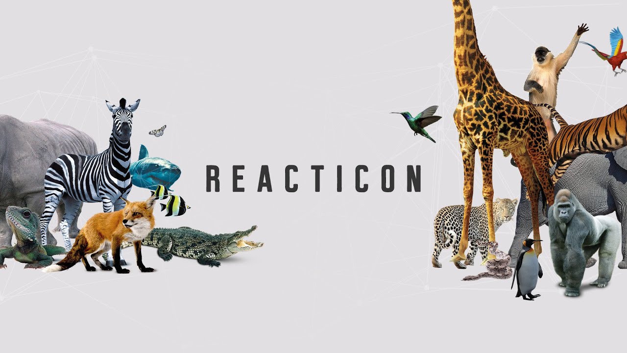 Reacticon Live Stream - Day 1 (3 of 3) - YouTube