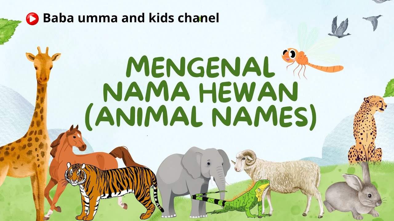 Belajar Mengenal Nama Hewan | Animal Names | Baba Umma and Kids Chanel ...